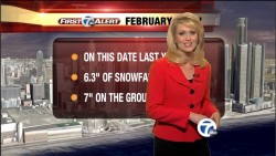 Hally Vogel - WXYZ 7 Detroit - TvNewsCaps